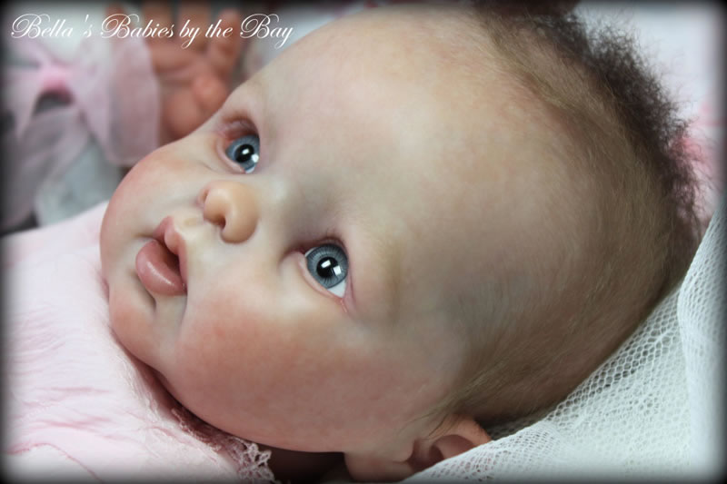 Babies by Emily - Sweet Cheeks Doll Kit Album